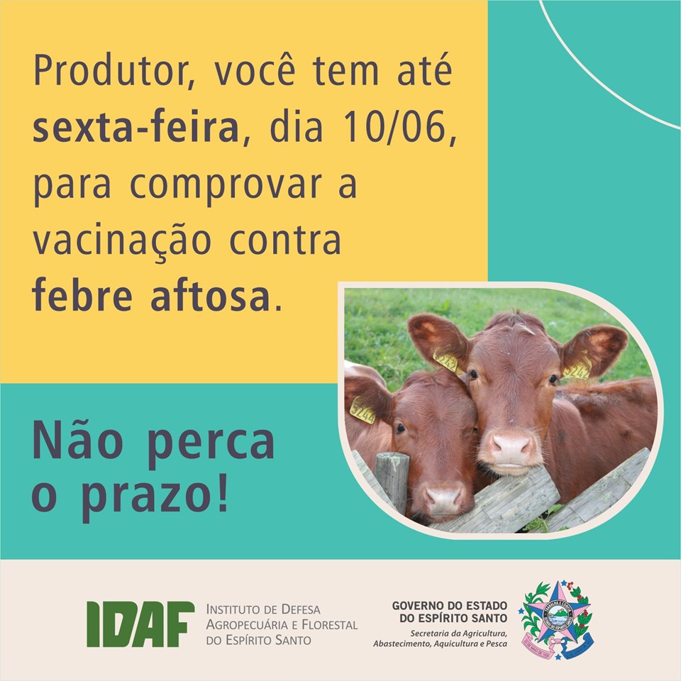 Governo Es Comprovação Da Vacinação Contra Febre Aftosa Vai Até Sexta